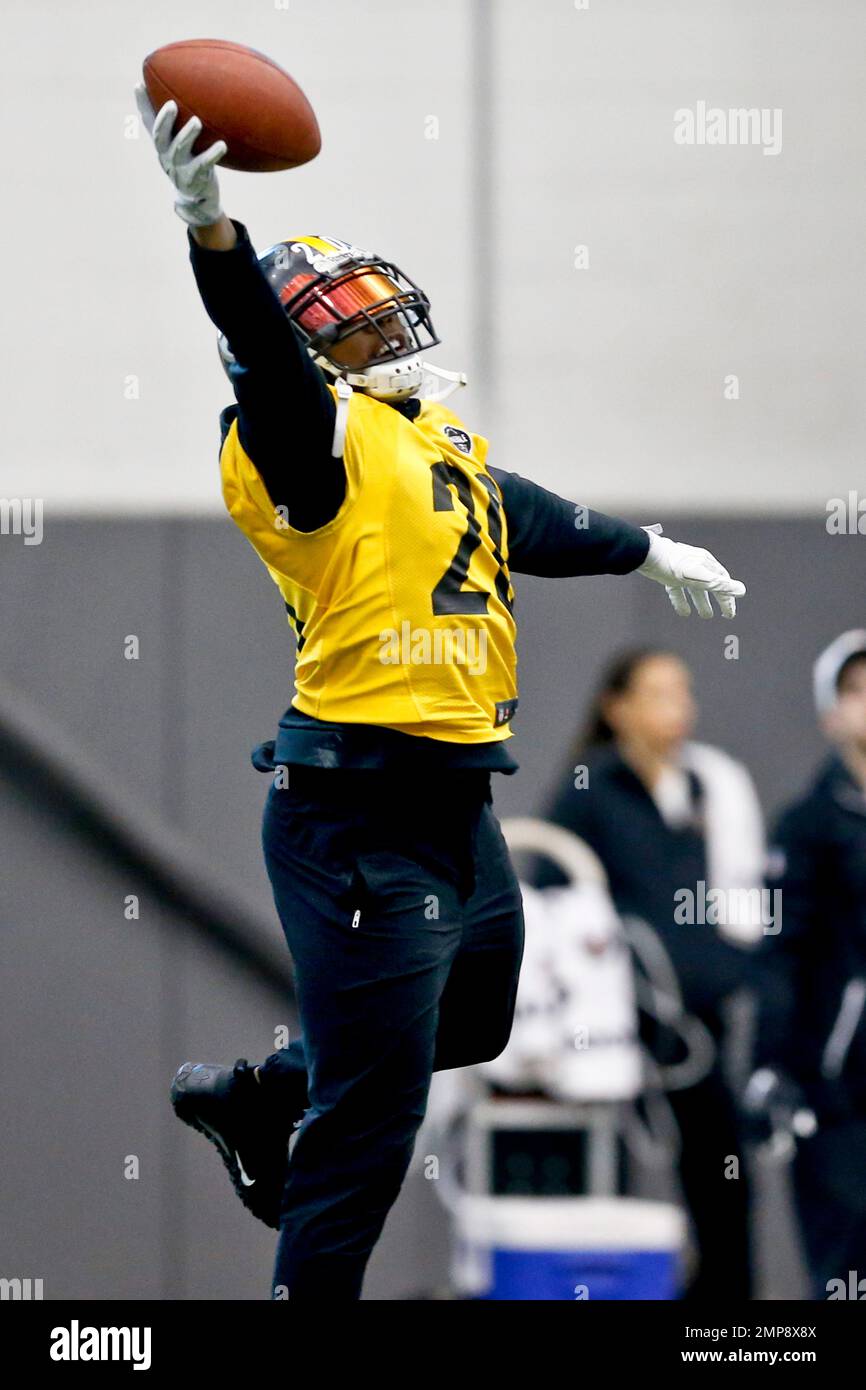 Pittsburgh Steelers free safety Robert Golden (20) leaps to make a ...
