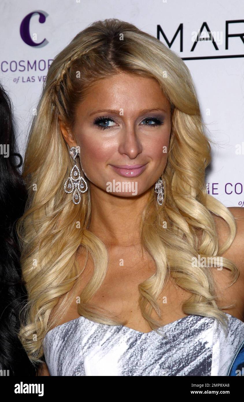 Allison Melnick celebrates her birthday with best friend Paris Hilton ...