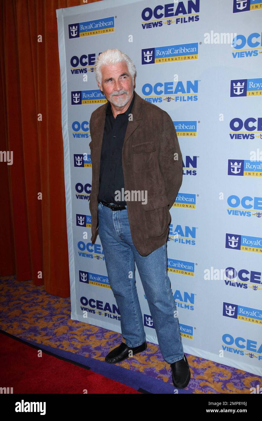 James Brolin at the exclusive premiere of "The Allure of Love" and ...