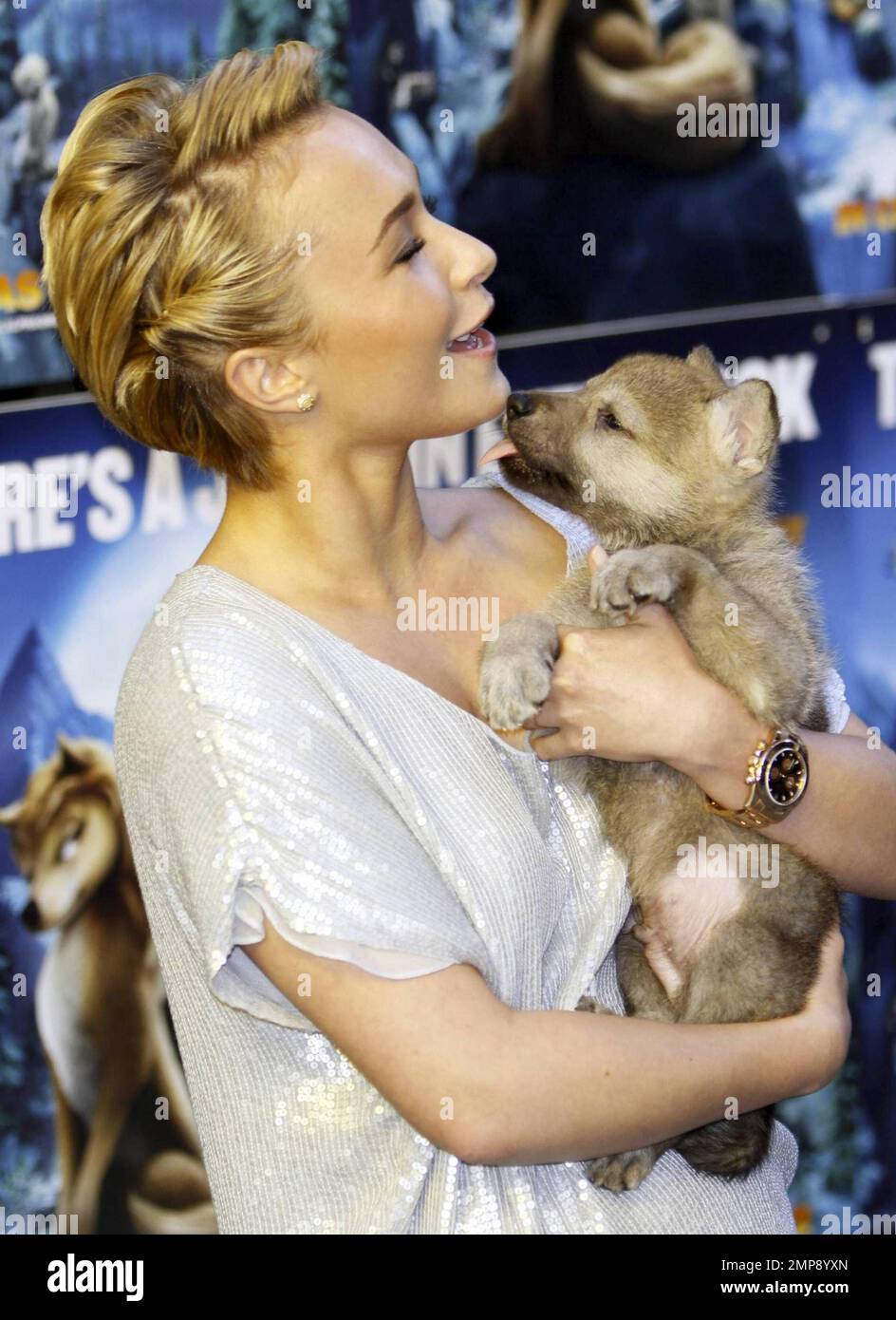 Animal lover Hayden Panettiere gets a kiss from a furry friend as she ...