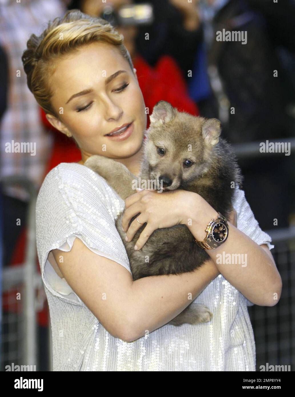 Animal lover Hayden Panettiere gets a kiss from a furry friend as she ...