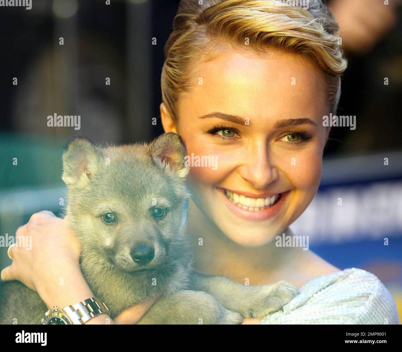 Animal lover Hayden Panettiere gets a kiss from a furry friend as she ...