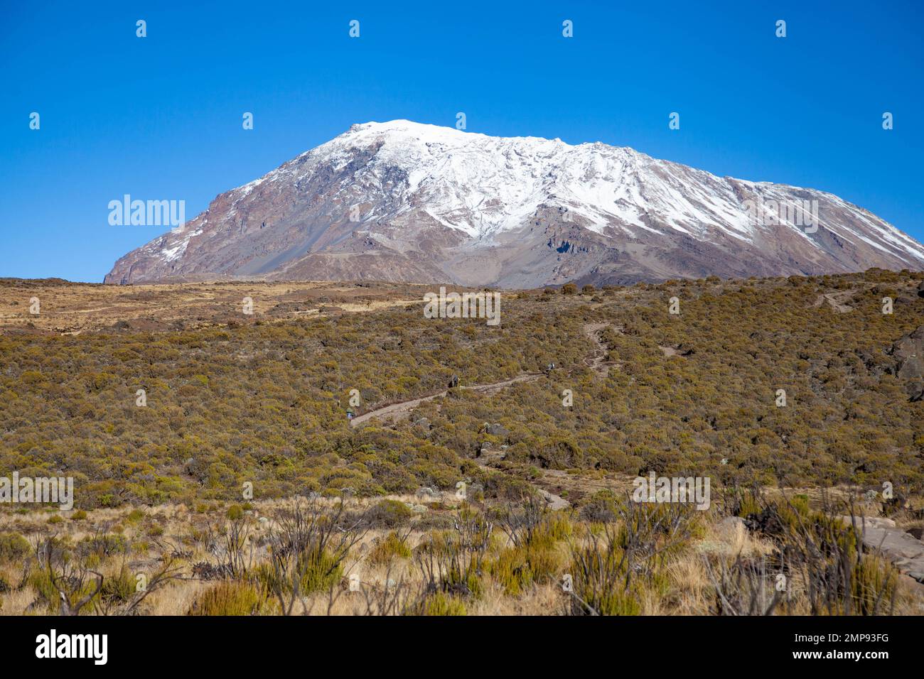 Snow on top of Mount Kilimanjaro. Tanzania Stock Photo - Alamy