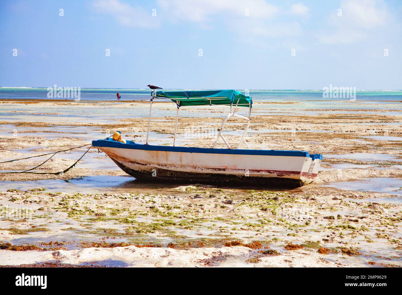 Indian ocean low tide hi-res stock photography and images - Alamy