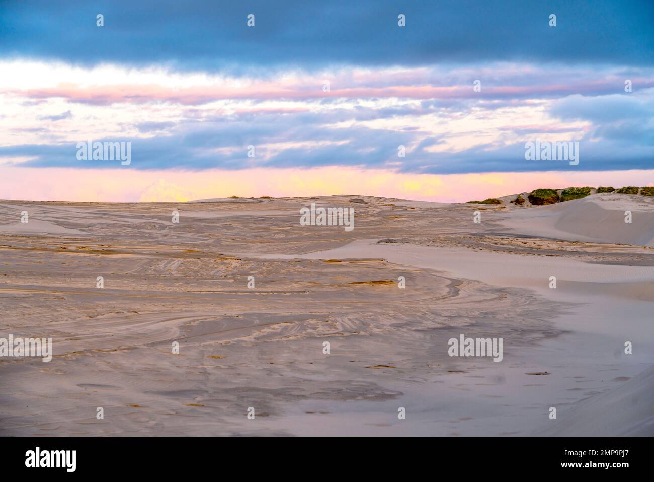 Sand Dunes of Skagen in the north of Denmark.Rabjerg Mile. Also named ...