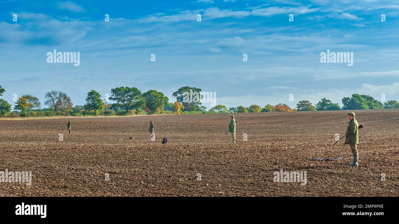 A team of men at the start of a pheasant shoot stood in a ploughed ...