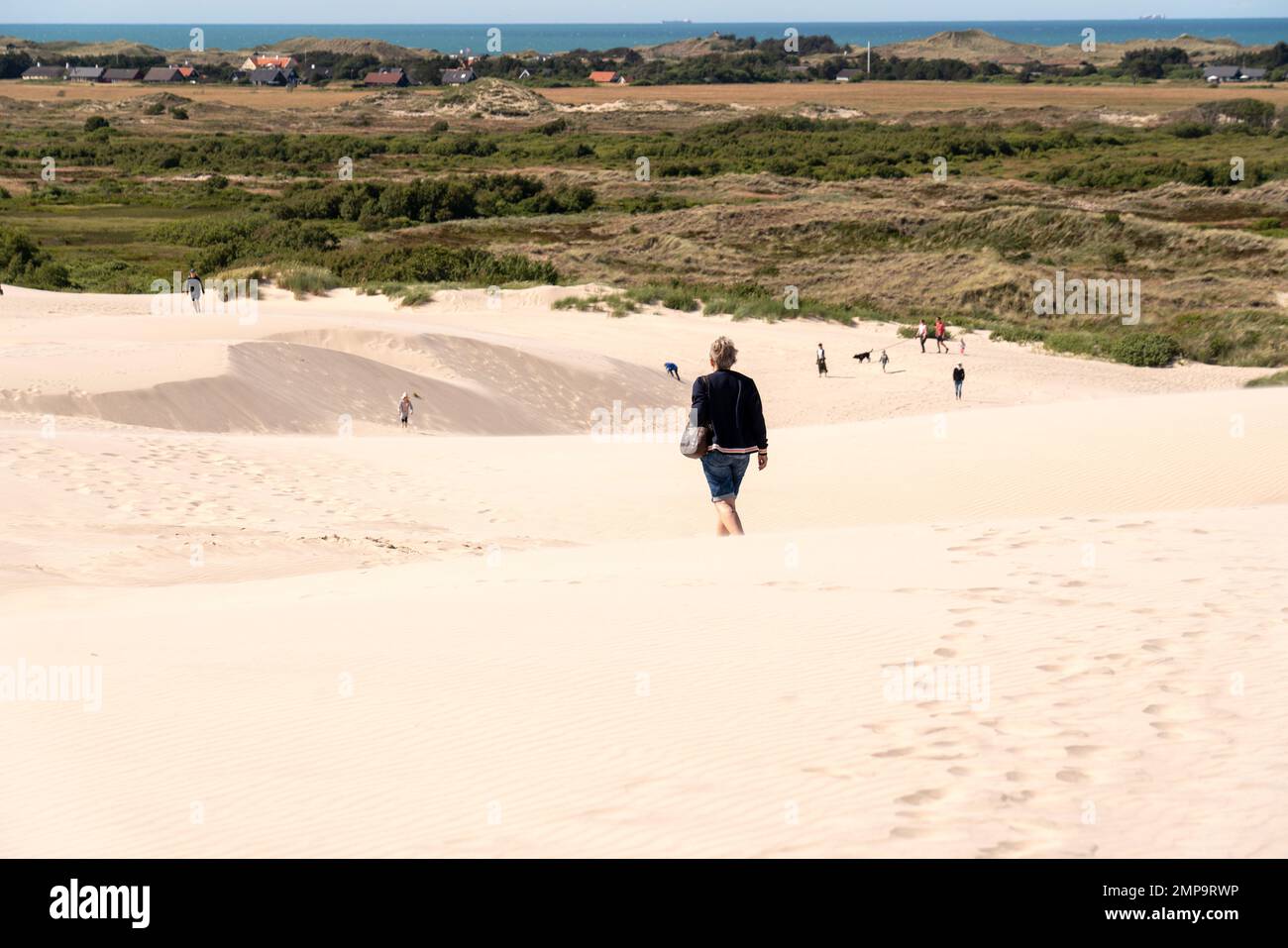 Sand Dunes of Skagen in the north of Denmark.Rabjerg Mile. Also named ...