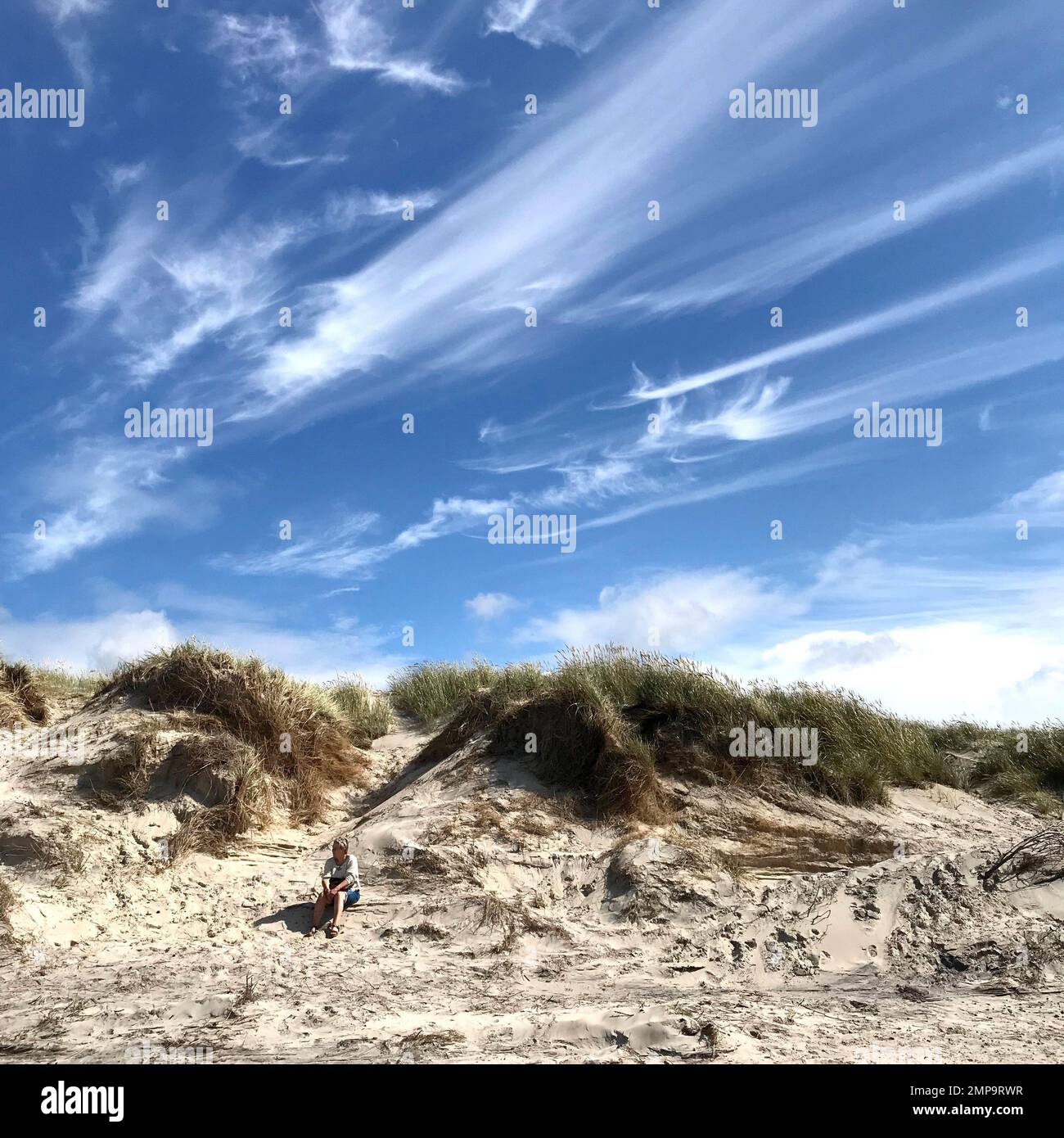 Sand Dunes of Skagen in the north of Denmark.Rabjerg Mile. Also named ...
