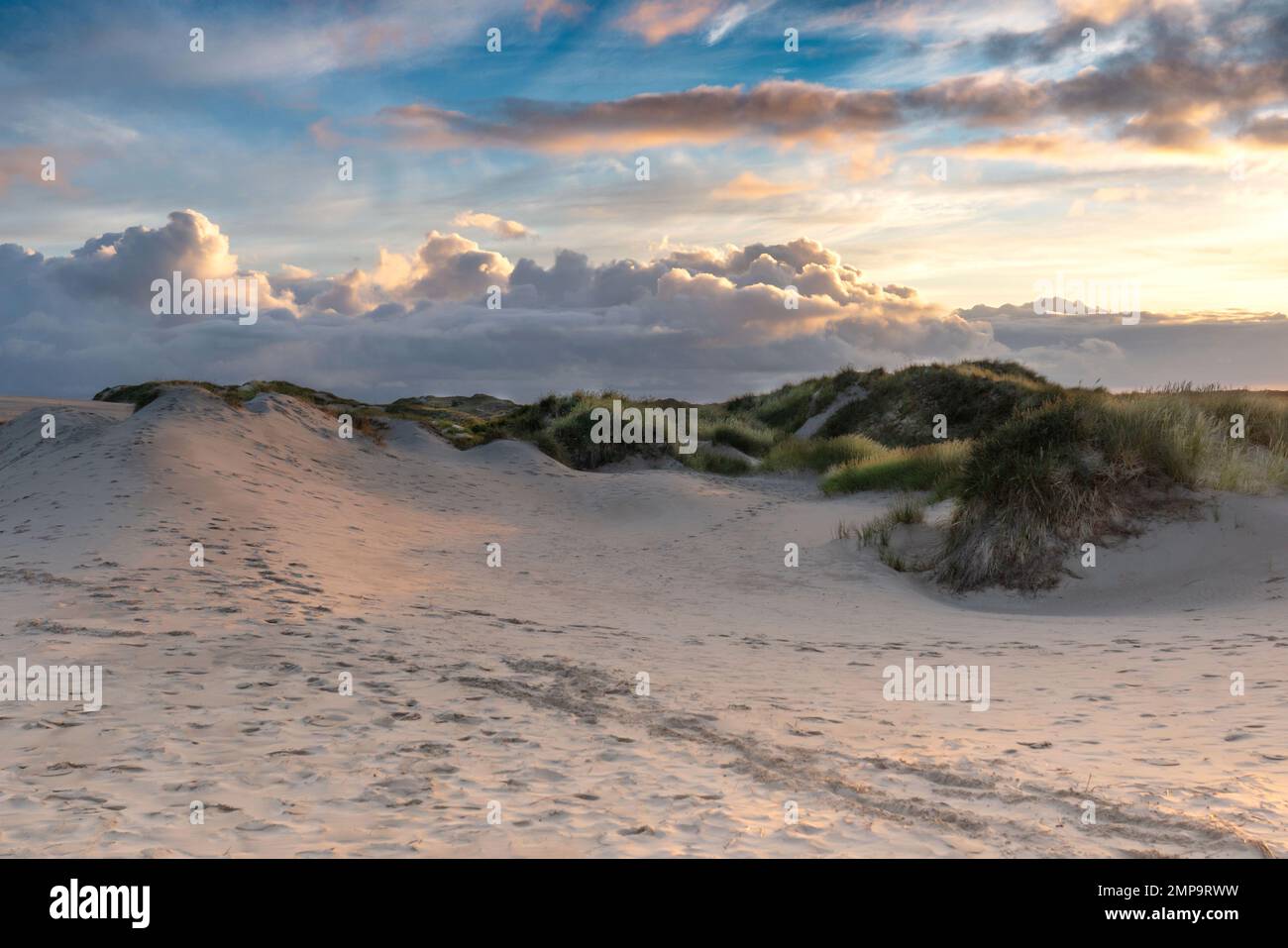 Sand Dunes of Skagen in the north of Denmark.Rabjerg Mile. Also named ...