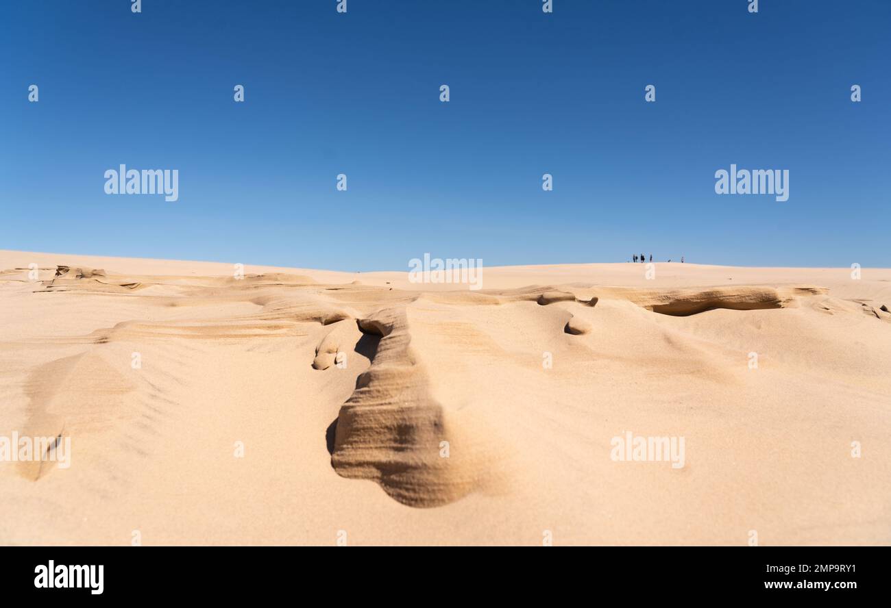 Sand Dunes of Skagen in the north of Denmark.Rabjerg Mile. Also named ...