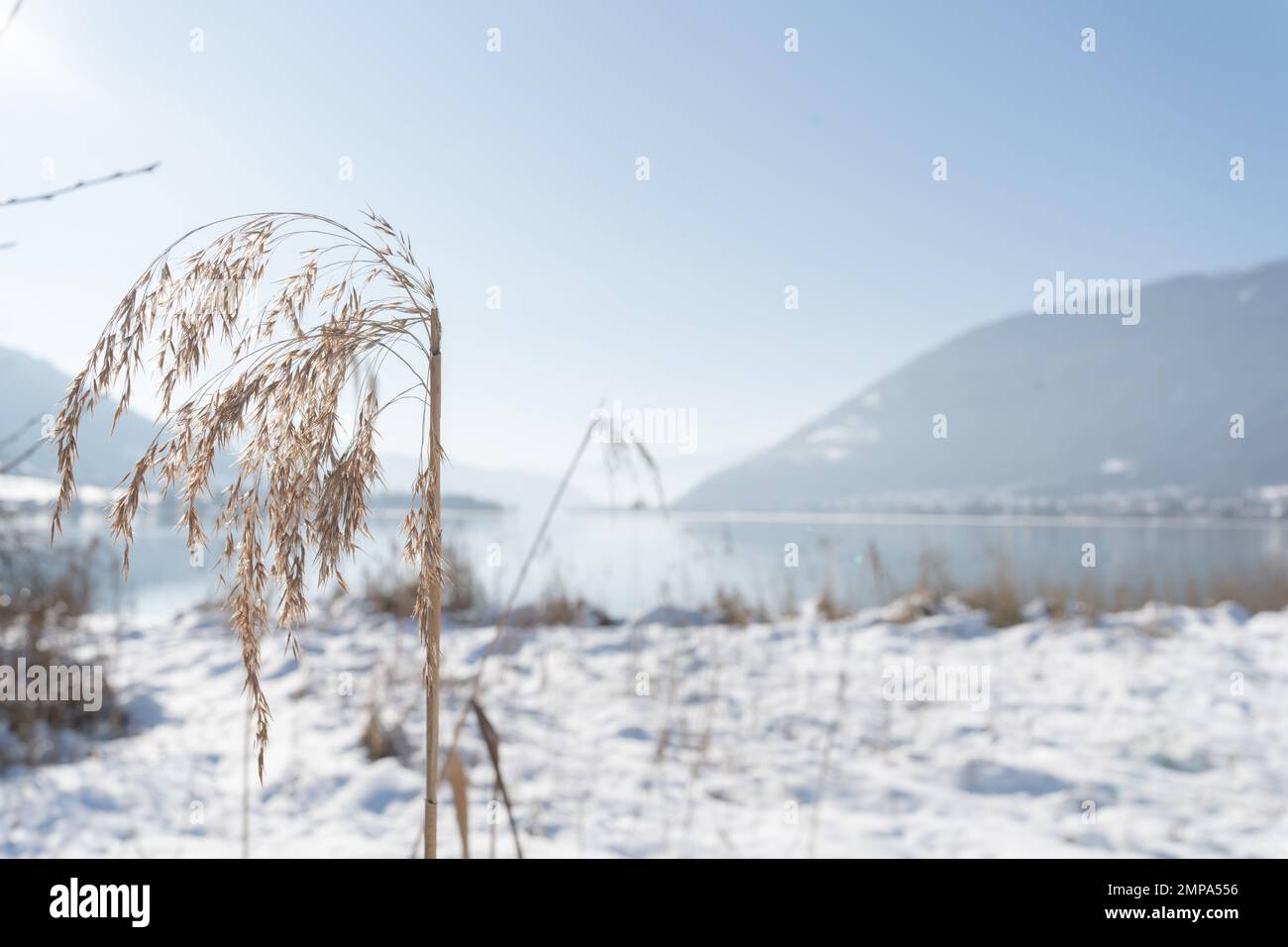 Snowy carinthian landscape at lake ossiach sunny winter day Stock Photo ...