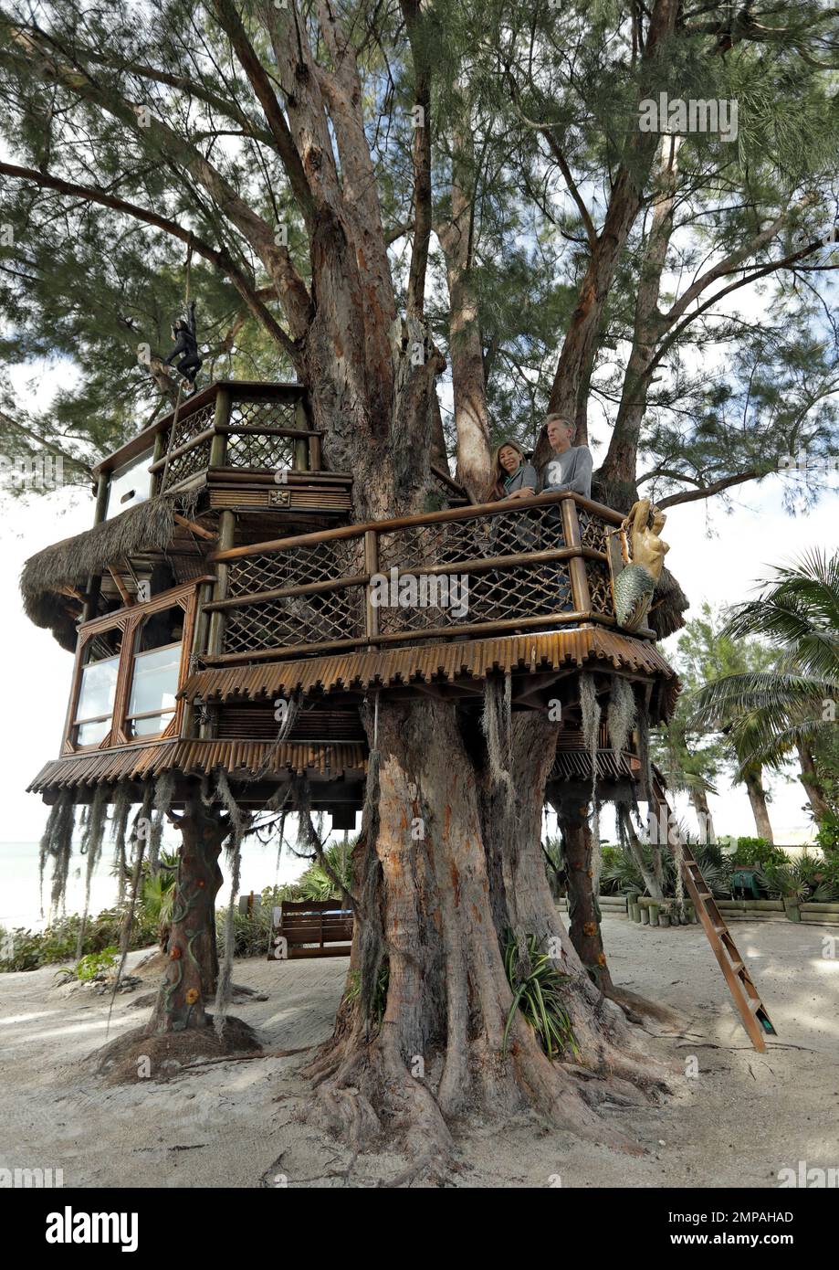 Lynn Tran and her husband Richard Hazen pose in their Australian pine ...