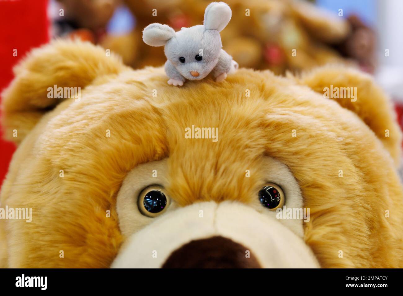 Nuremberg, Germany. 31st Jan, 2023. A small plush mouse sits on the ...