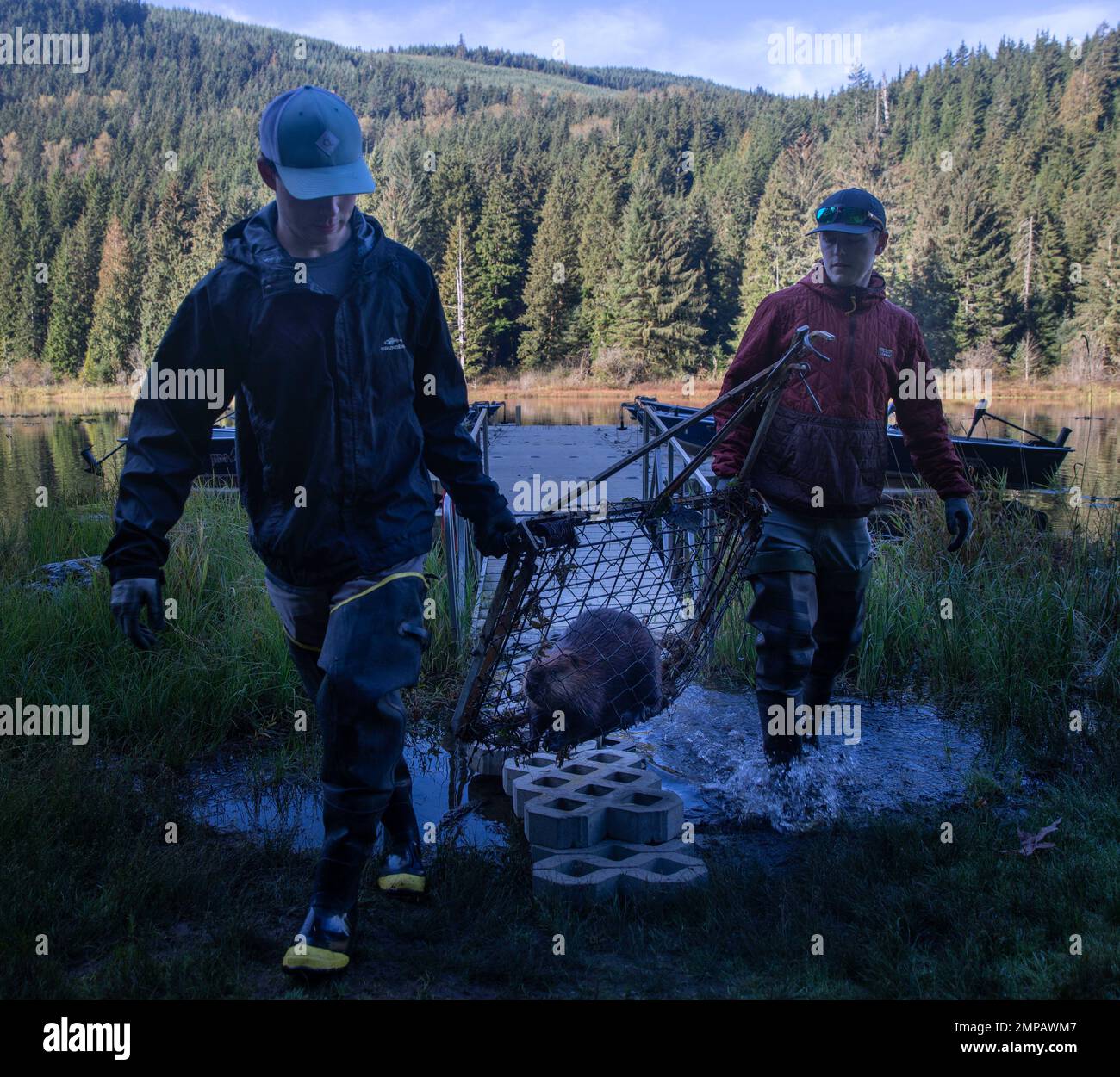 Tulalip Tribes Natural Resources wildlife biologists Glenn Meador, left ...