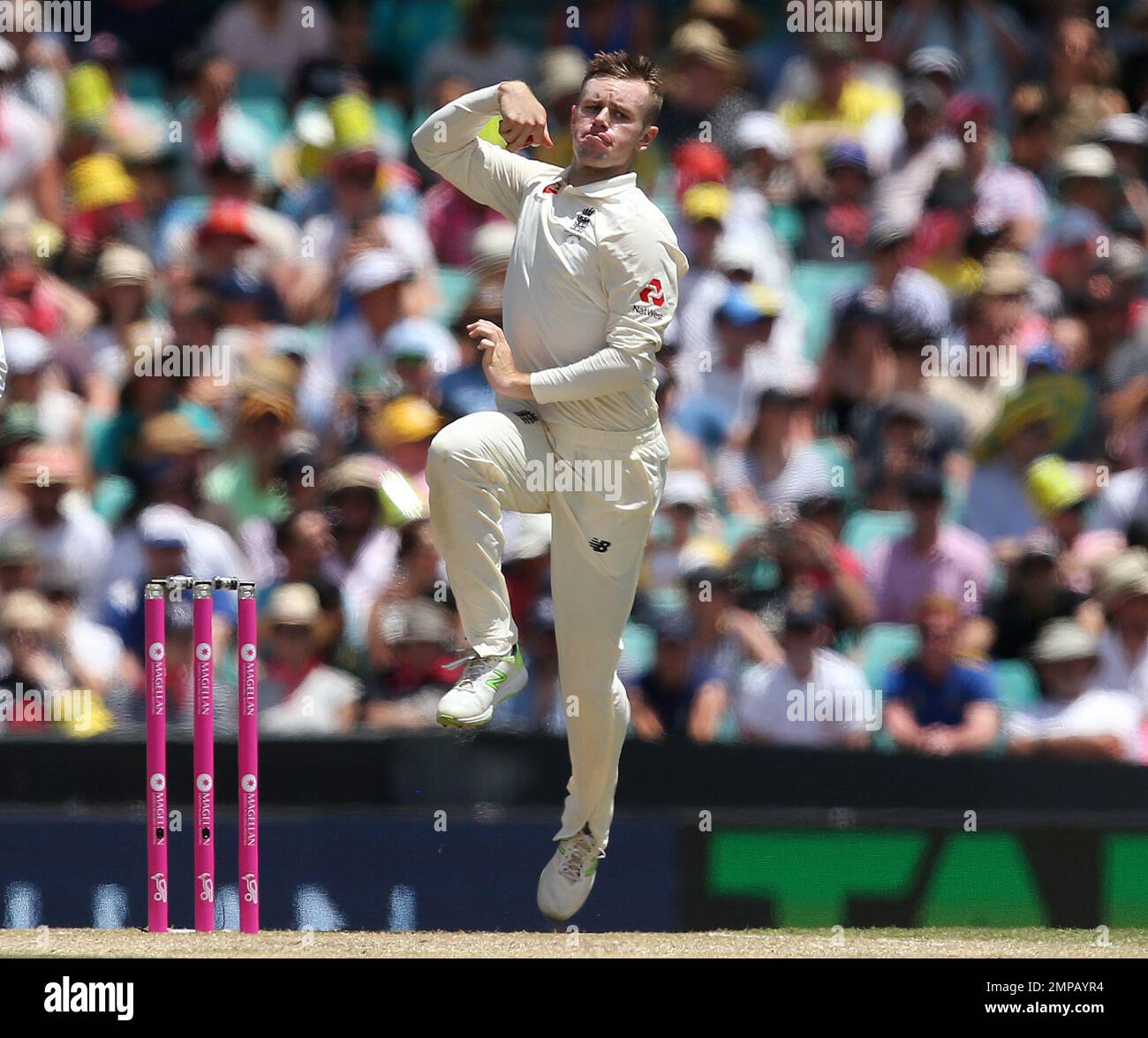 Cricket mason crane hi-res stock photography and images - Alamy