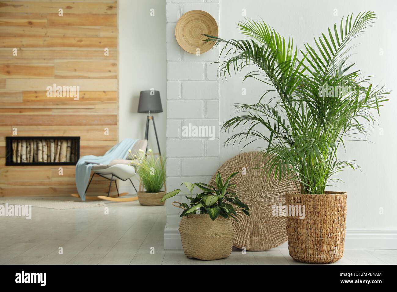Houseplants in wicker pots on floor indoors. Interior design Stock ...