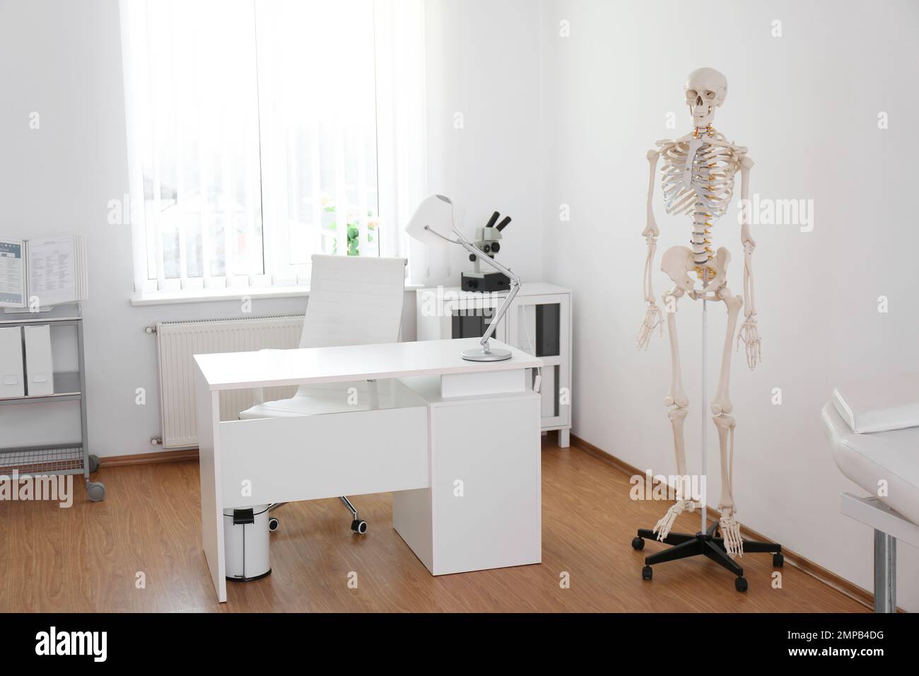 Human skeleton model in modern orthopedist's office Stock Photo - Alamy