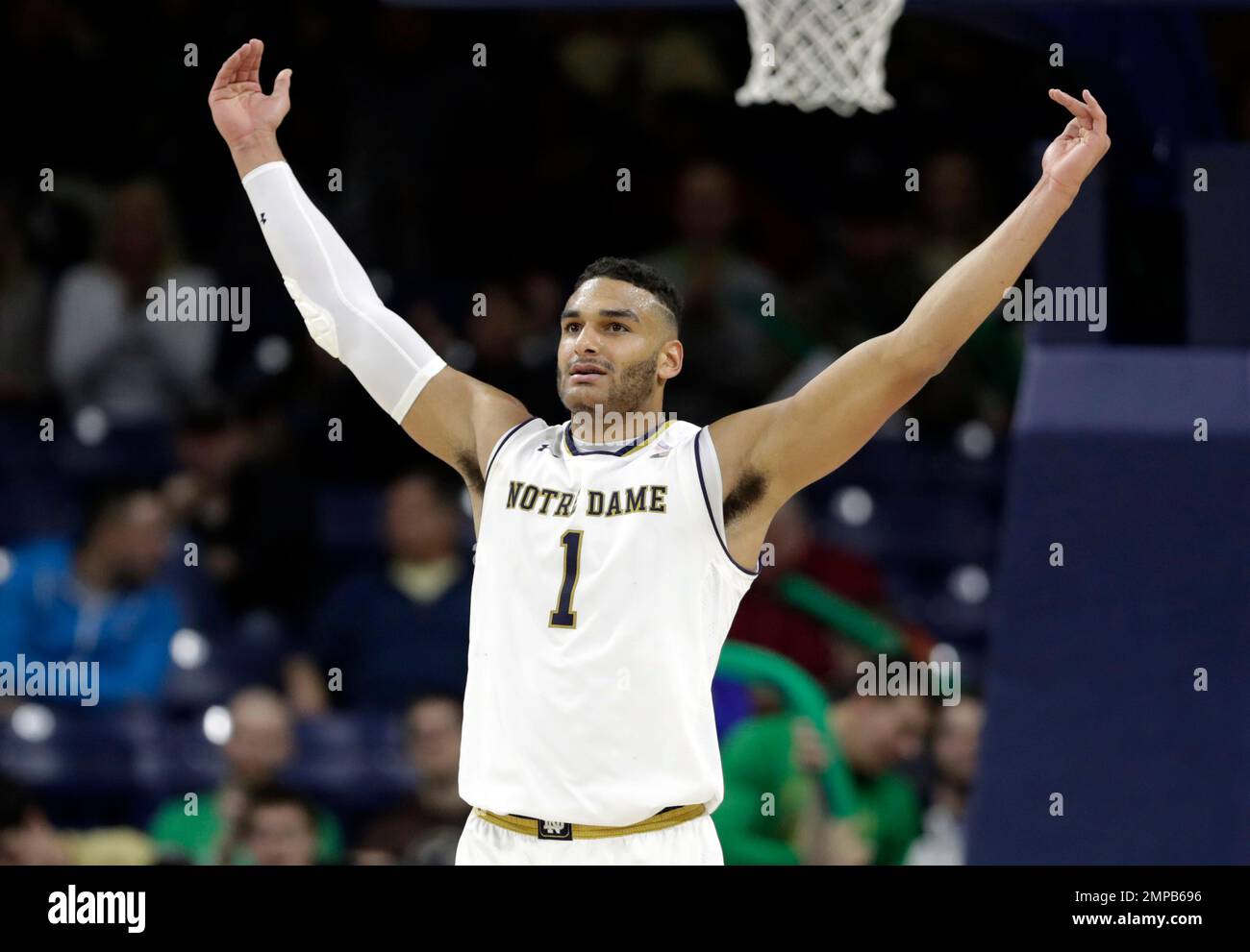 Notre Dame forward Austin Torres celebrates during the second half of ...