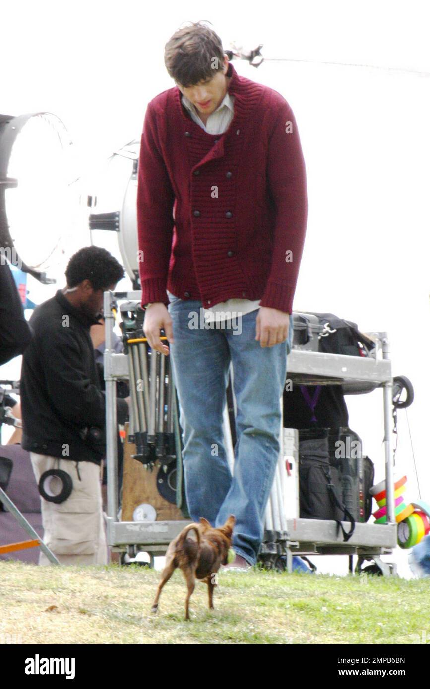 Ashton Kutcher has a good time playing fetch with his four-legged ...