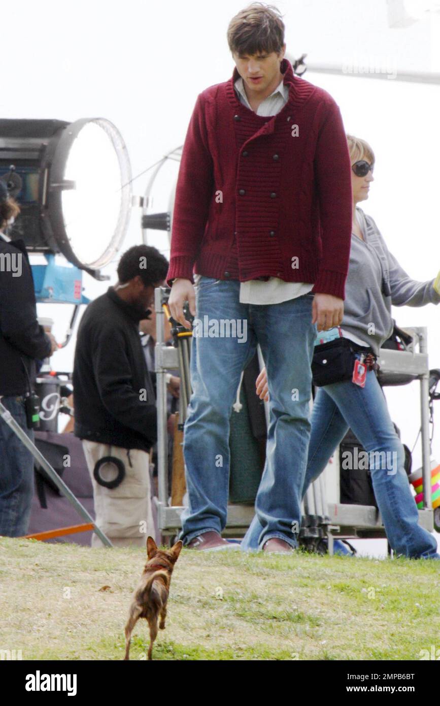 Ashton Kutcher has a good time playing fetch with his four-legged ...