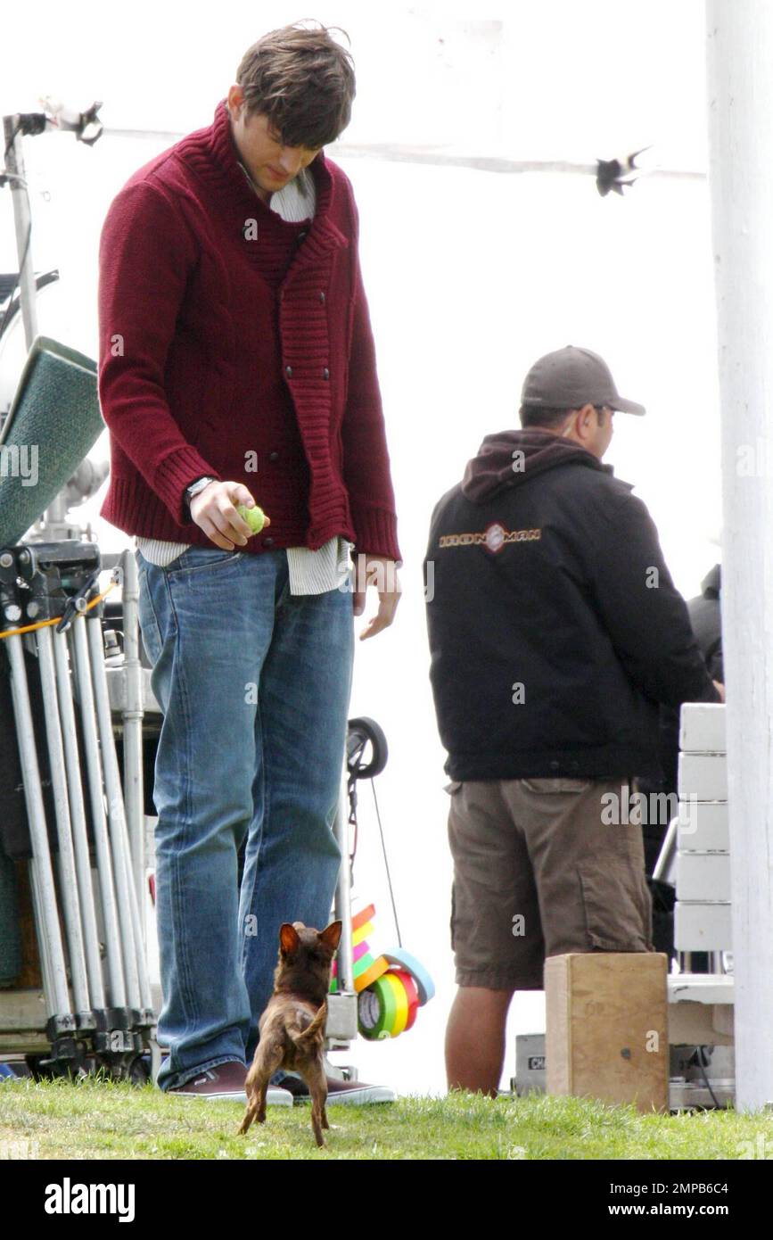 Ashton Kutcher has a good time playing fetch with his four-legged ...