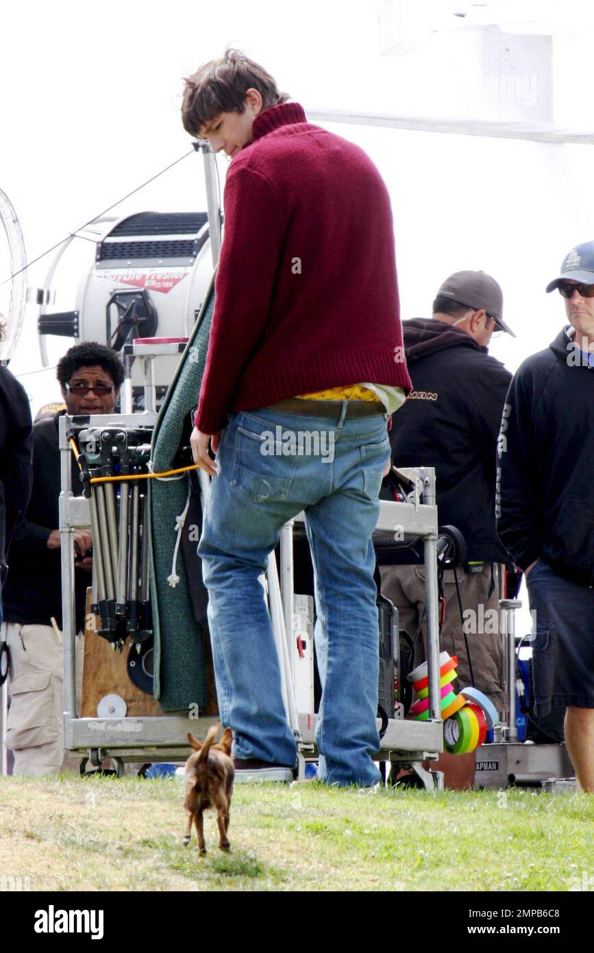 Ashton Kutcher has a good time playing fetch with his four-legged ...