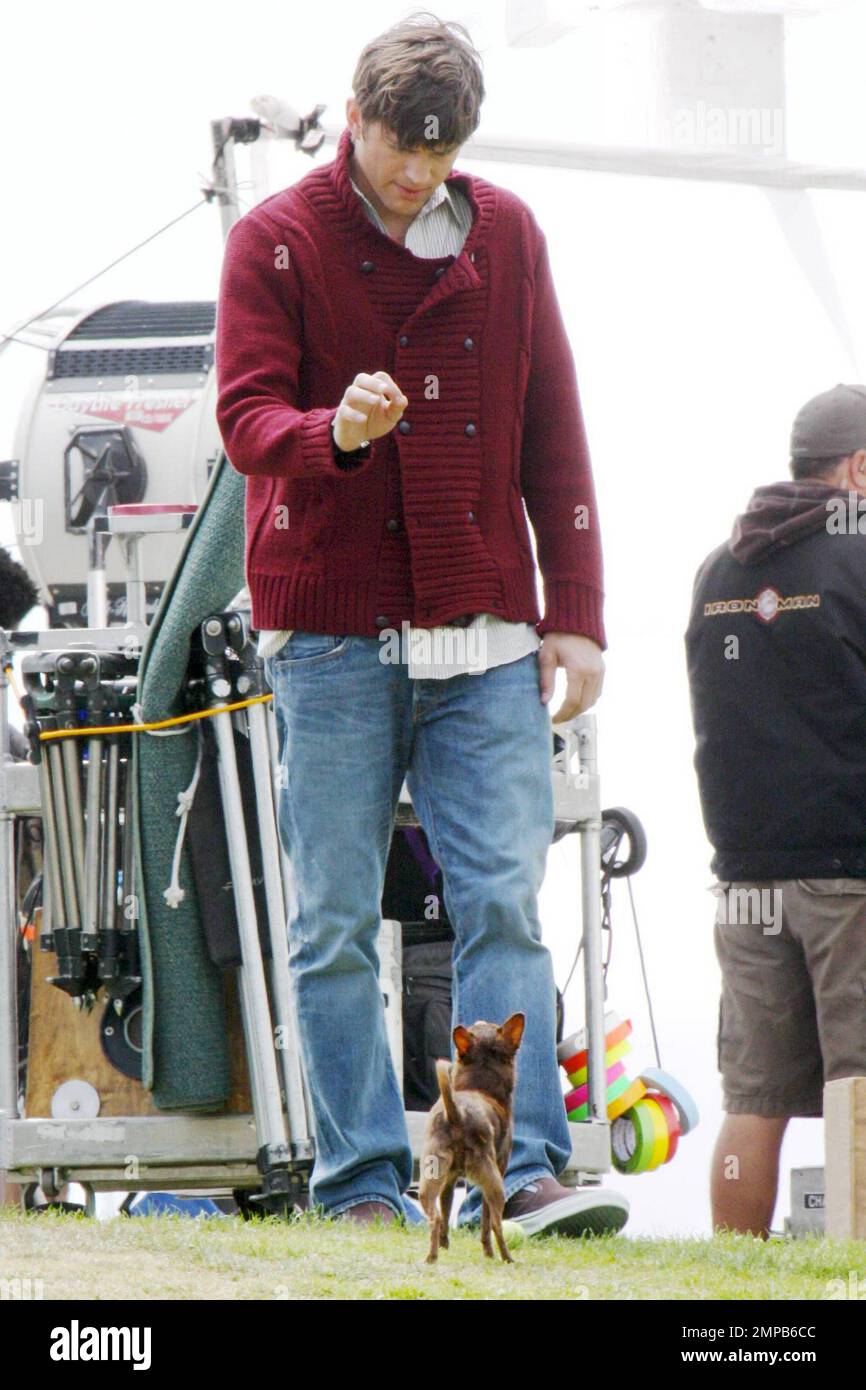 Natalie portman and dog hi-res stock photography and images - Alamy