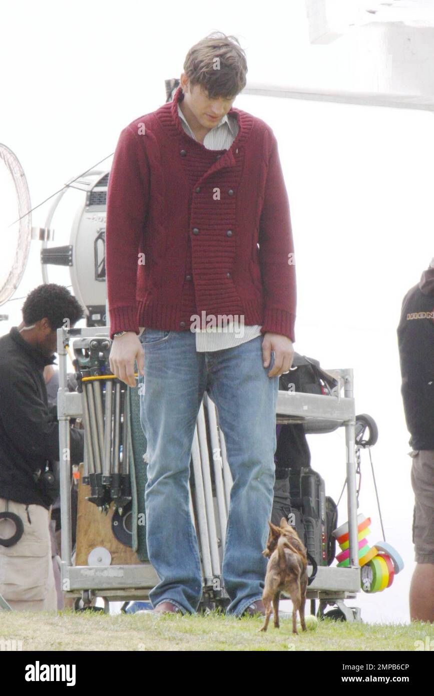 Ashton Kutcher has a good time playing fetch with his four-legged ...