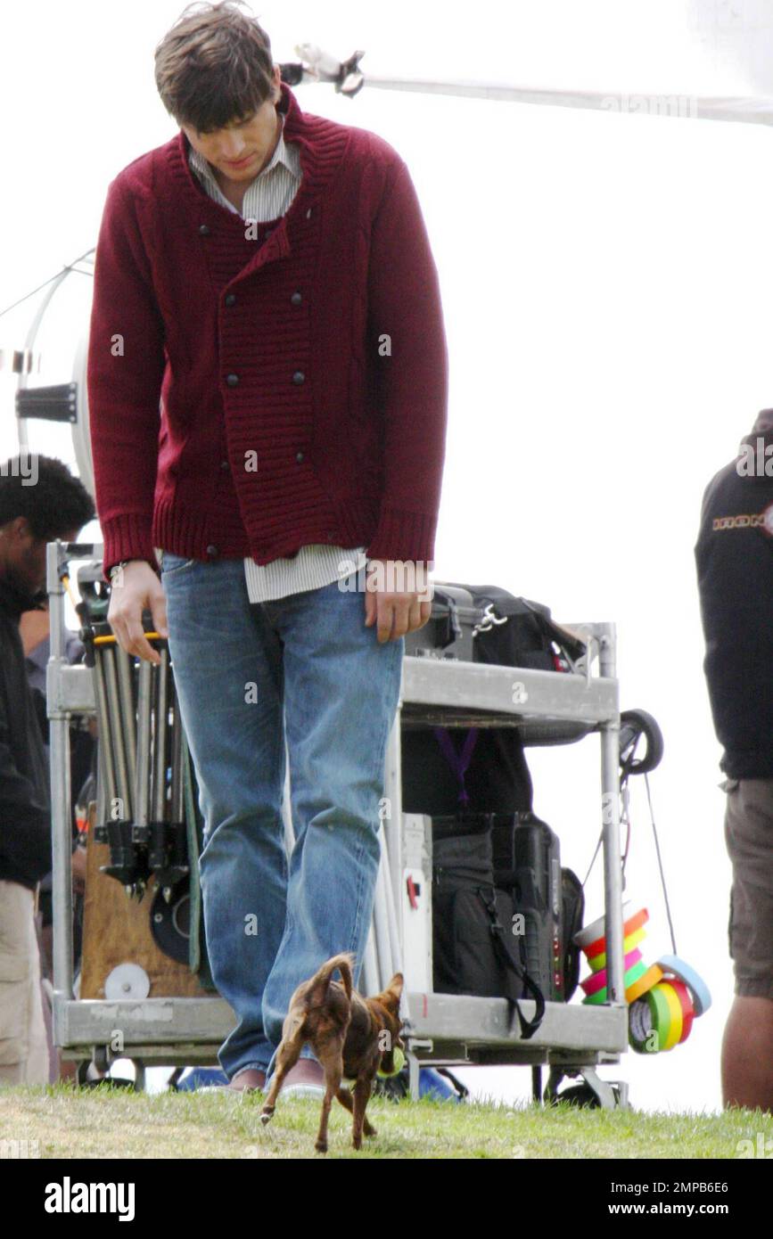 Ashton Kutcher has a good time playing fetch with his four-legged ...