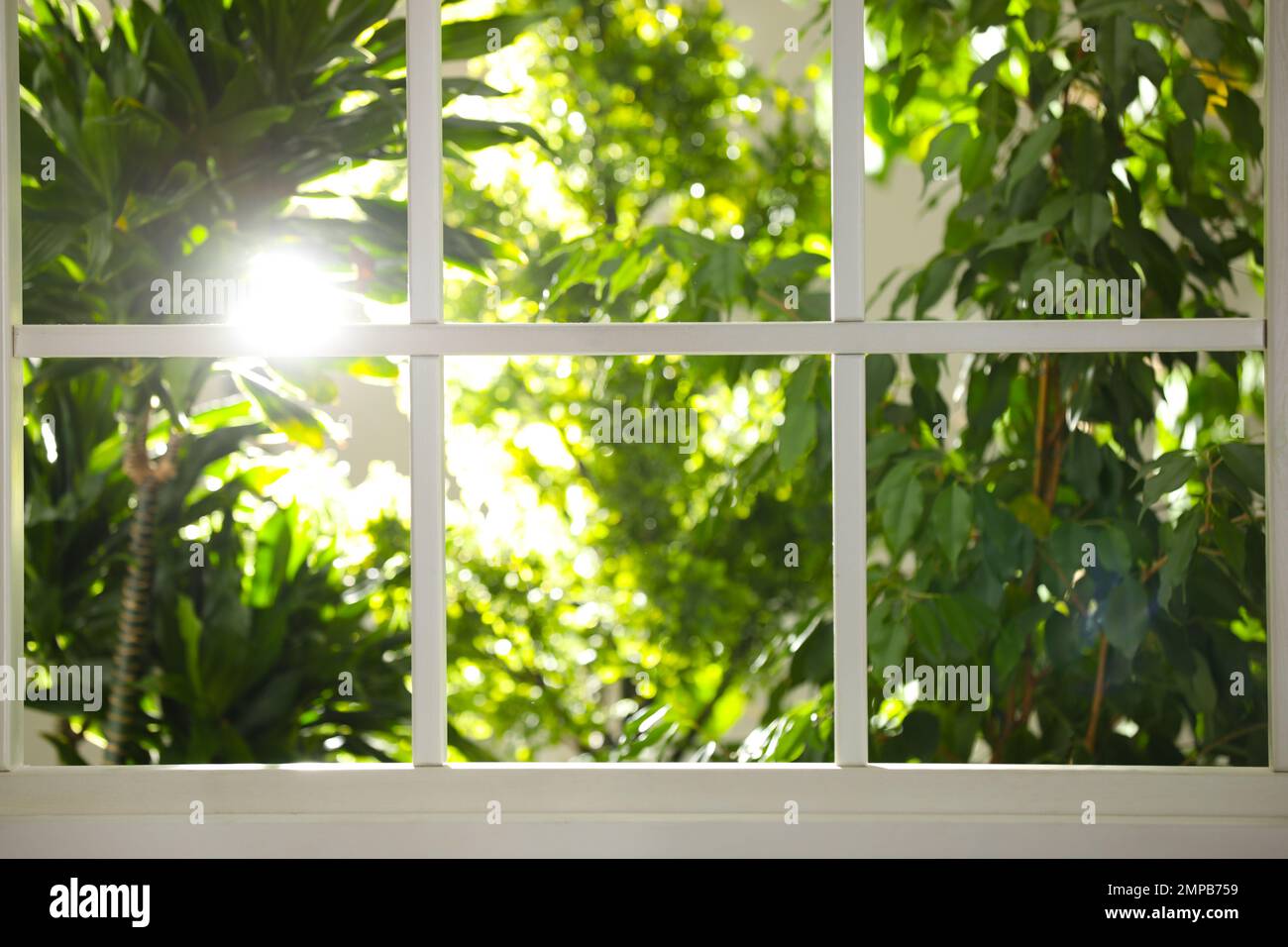 Beautiful view through window on garden in morning Stock Photo - Alamy