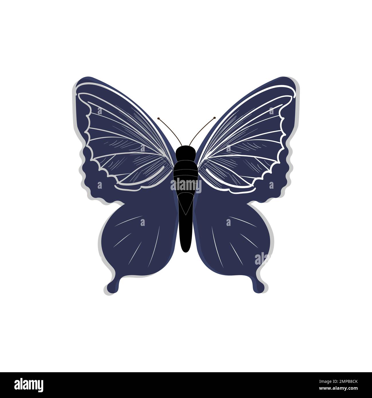 Butterfly vector illustration. Isolated cartoon set icon decorative ...