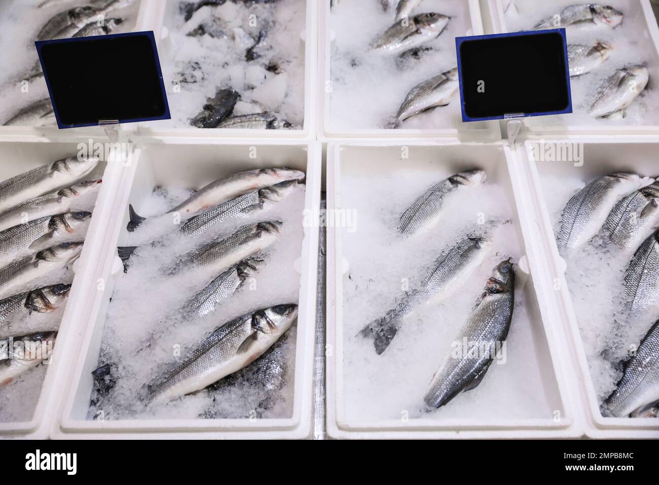 Fresh fish on display with ice at wholesale market Stock Photo - Alamy