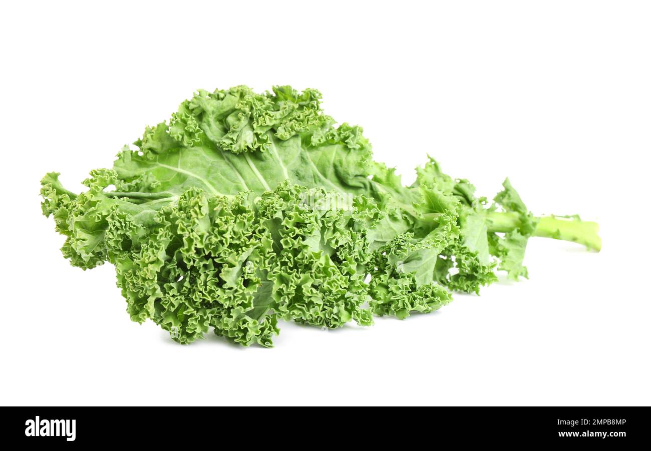 Kale leaf isolated hi-res stock photography and images - Alamy