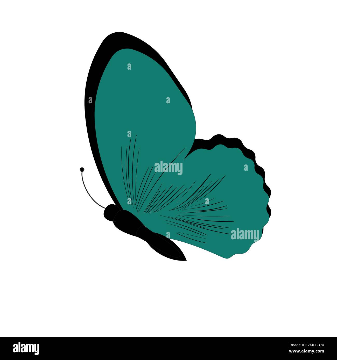 Butterfly vector illustration. Isolated cartoon set icon decorative ...
