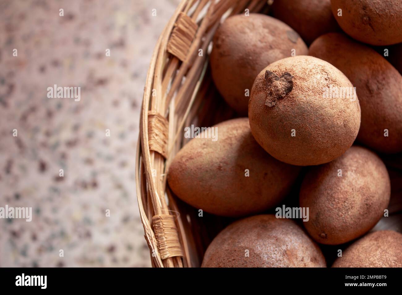 Manilkara zapota, commonly known as sapodilla in a bunch after harvesting Stock Photo - Alamy