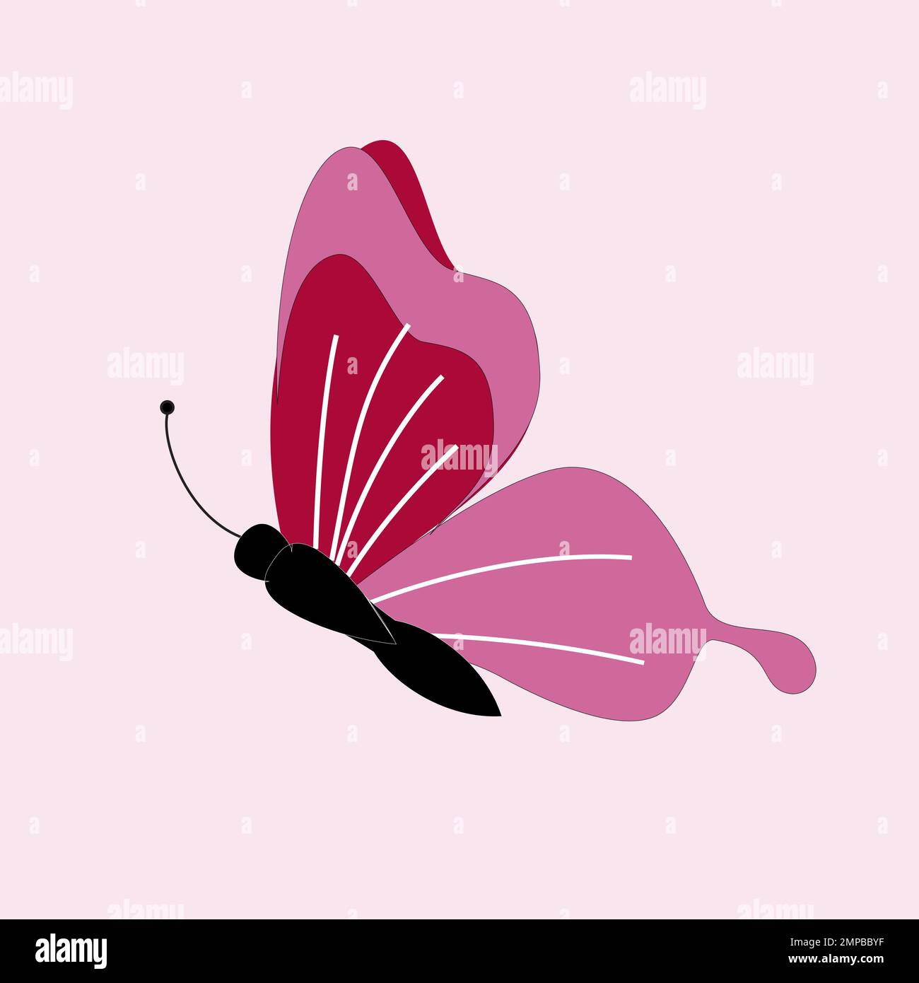 Butterfly vector illustration. Isolated cartoon set icon decorative ...