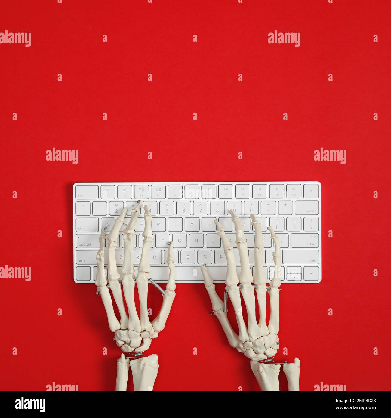 Human skeleton using computer keyboard on red background, top view ...
