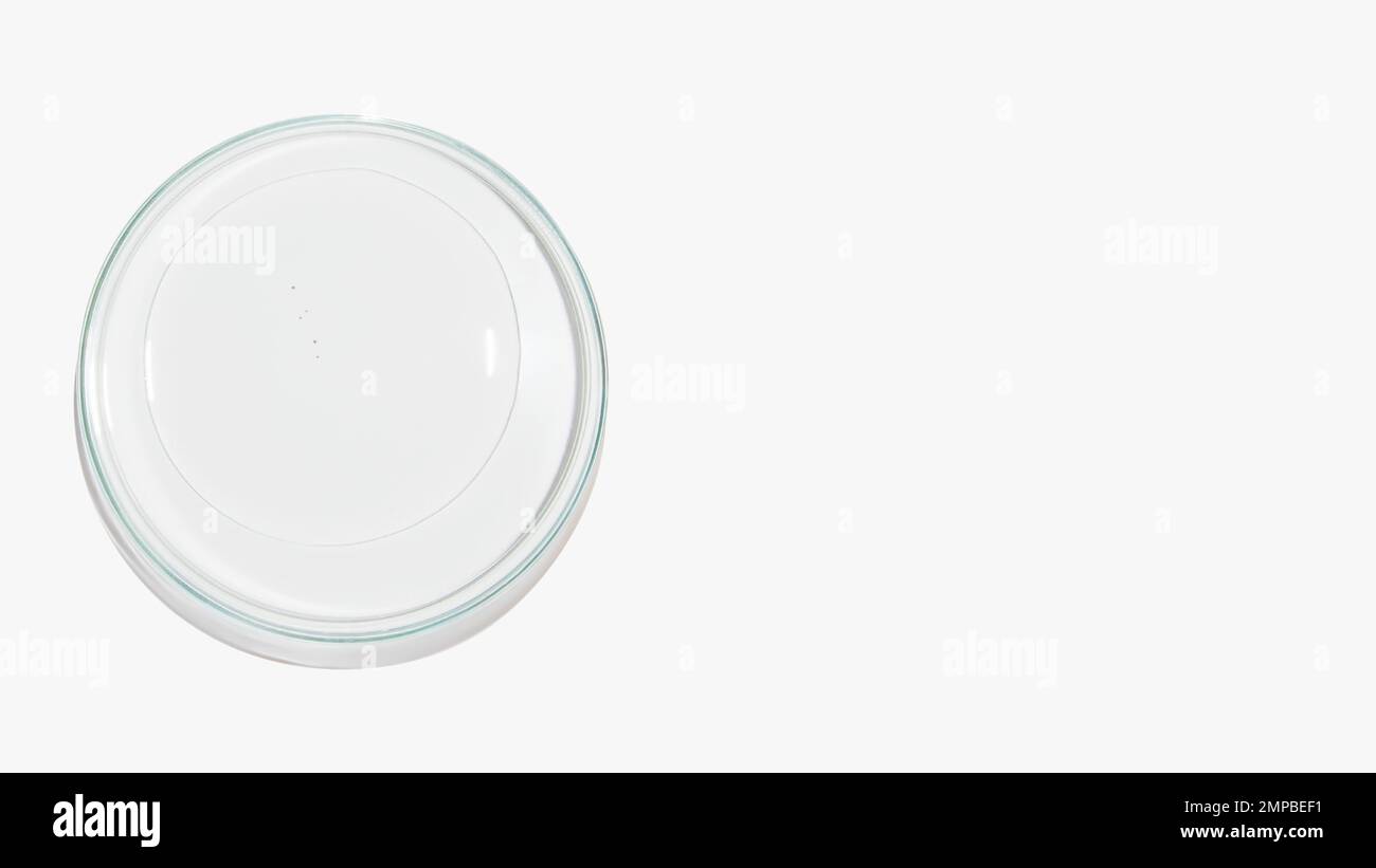 Petri dishes top view hi-res stock photography and images - Alamy