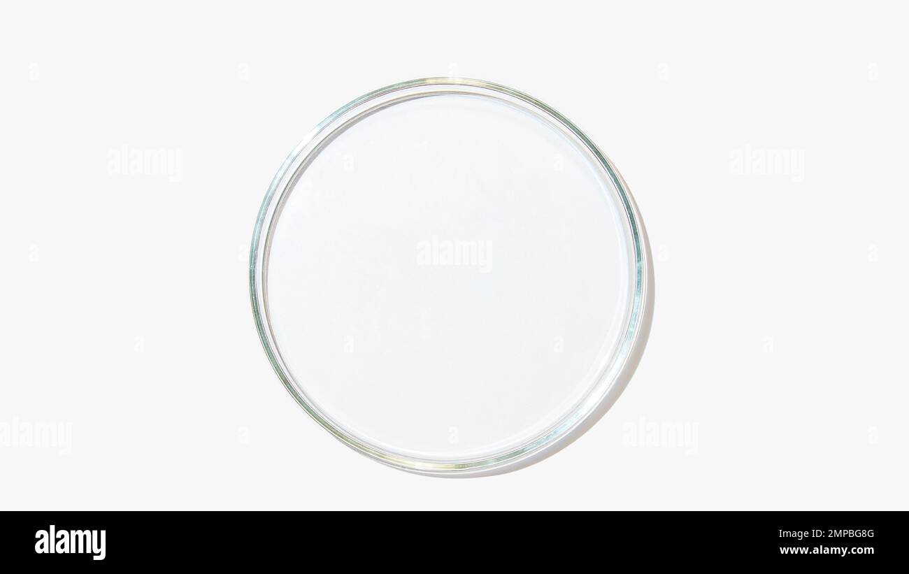 Scientist experiment light Cut Out Stock Images & Pictures - Alamy