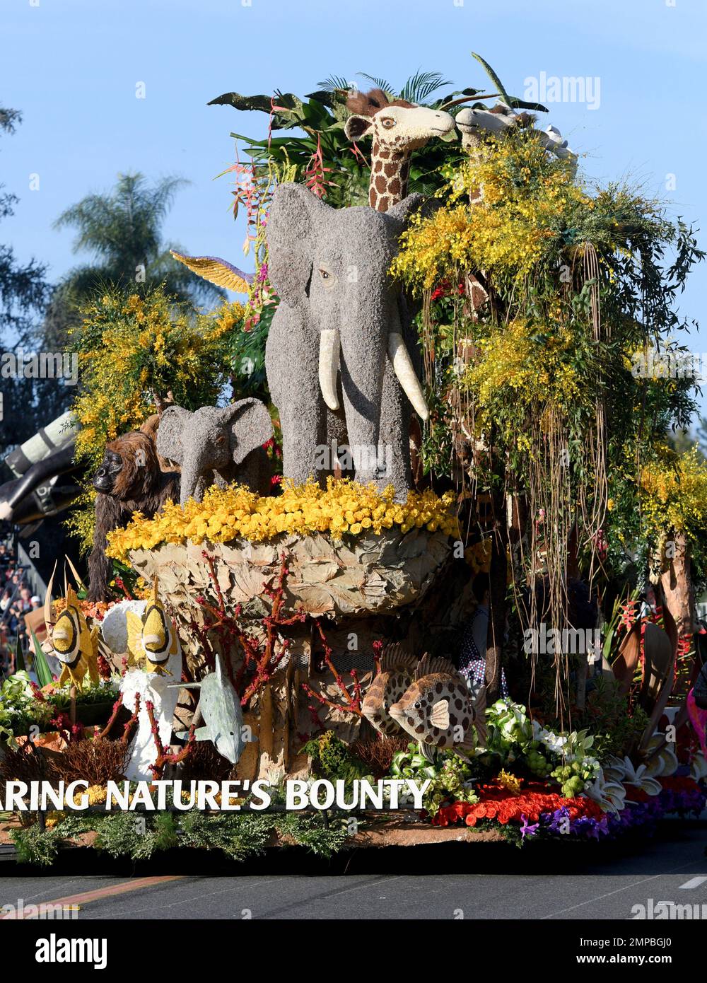 The Dole Packaged Foods float won the Grand Marshal Award at the 129th ...