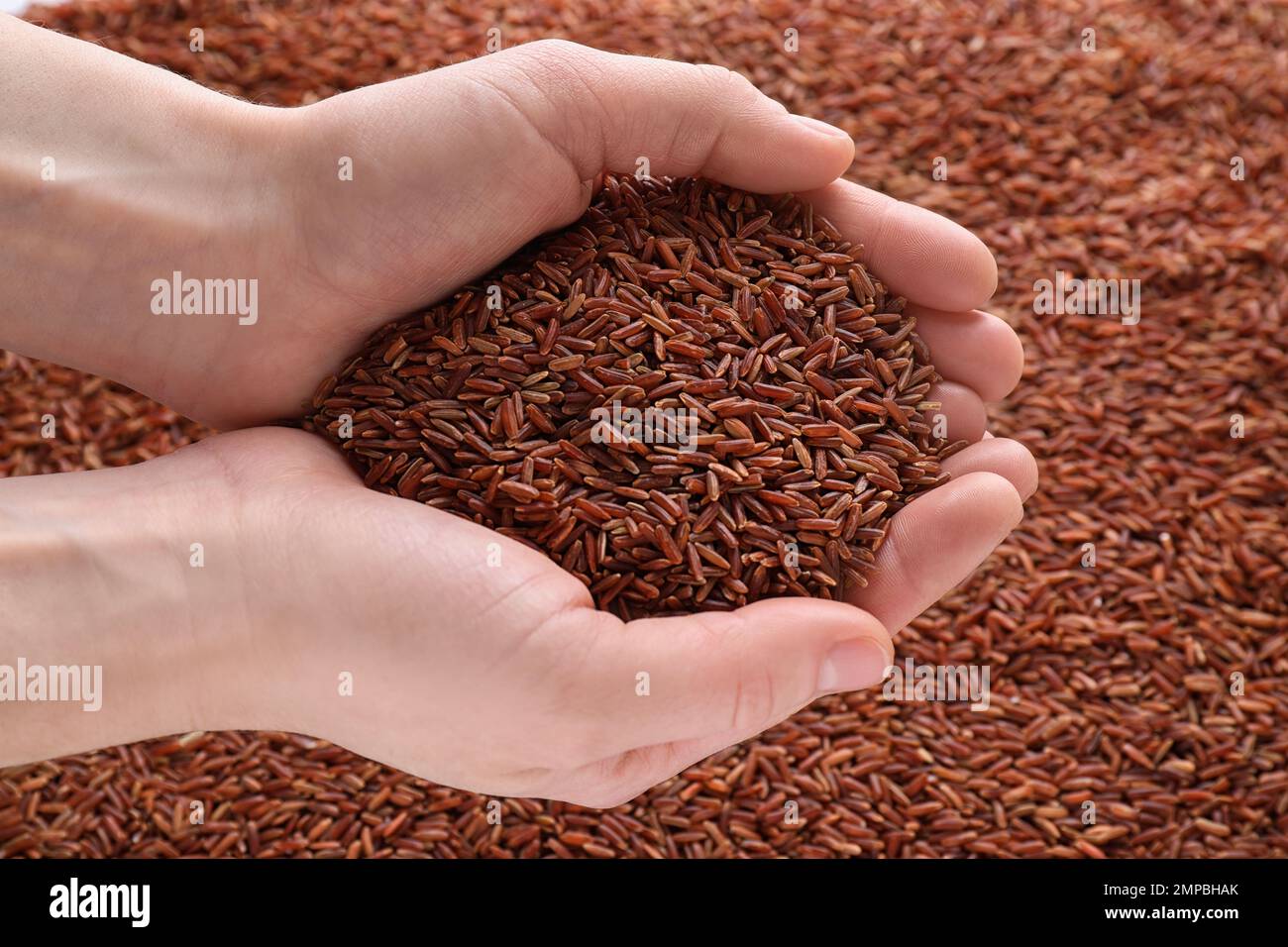 Woman holding brown rice over pile of grains, top view Stock Photo - Alamy