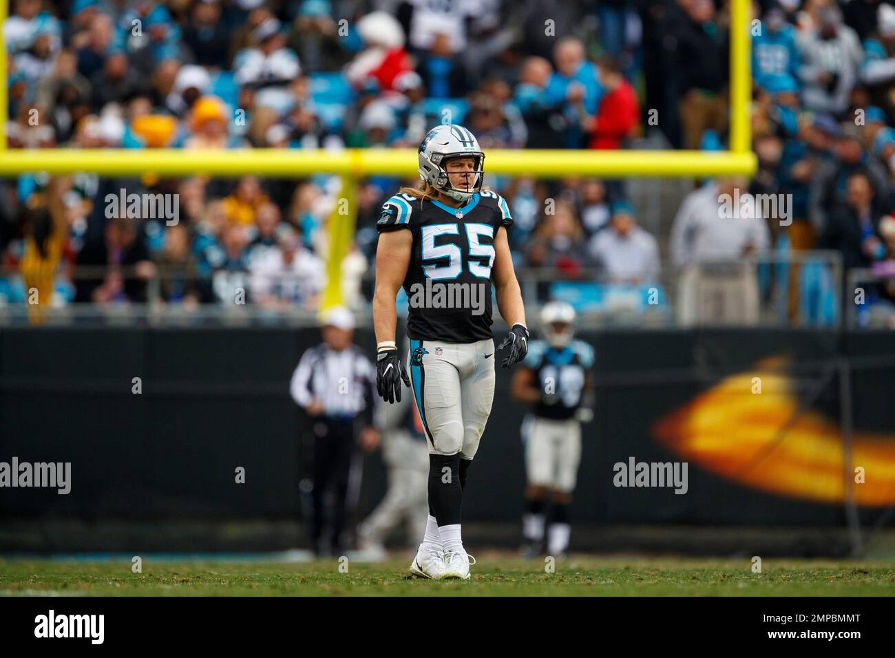 Carolina Panthers middle linebacker David Mayo (55) against the Green ...