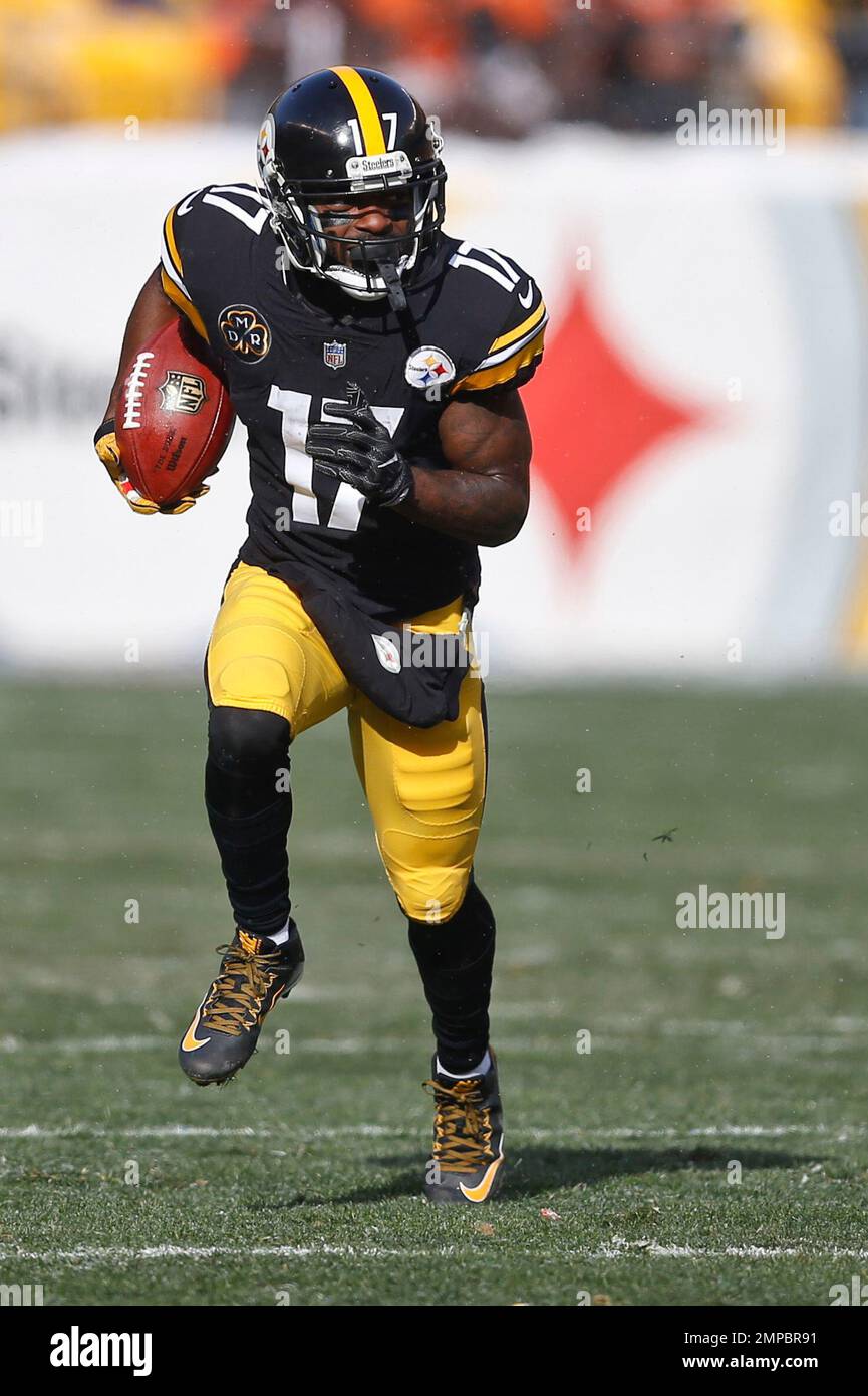 Pittsburgh Steelers wide receiver Eli Rogers (17) plays in an NFL ...