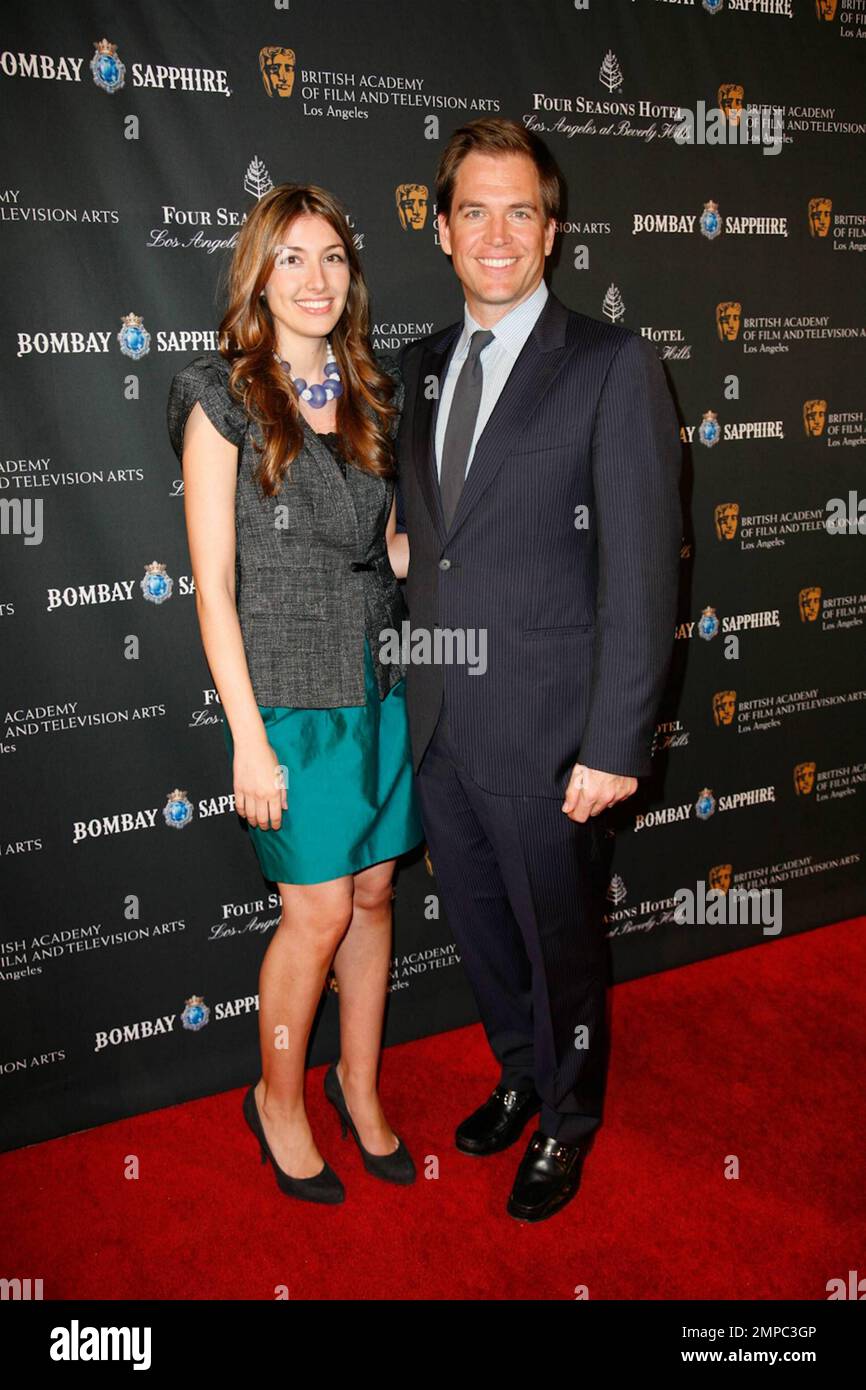 Michael Weatherly on the red carpet at the 17th Annual BAFTA Los ...