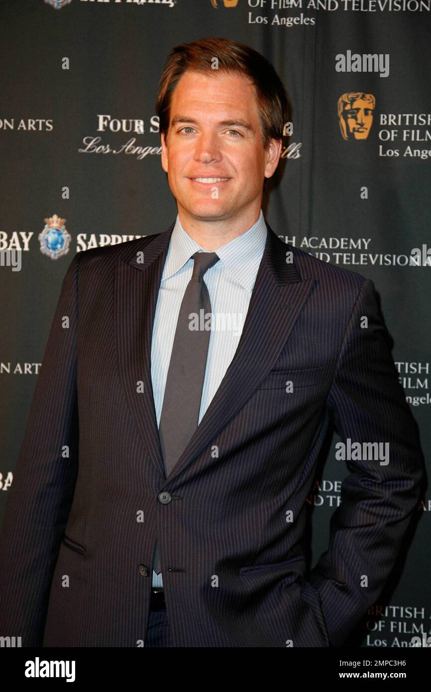 Michael Weatherly on the red carpet at the 17th Annual BAFTA Los ...