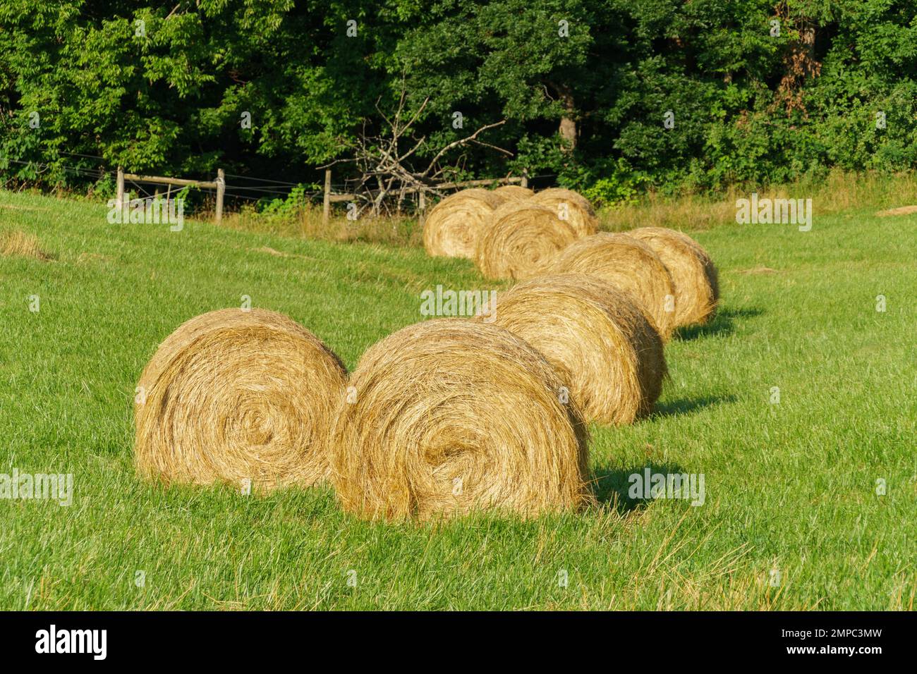 One hay roll in hi-res stock photography and images - Alamy