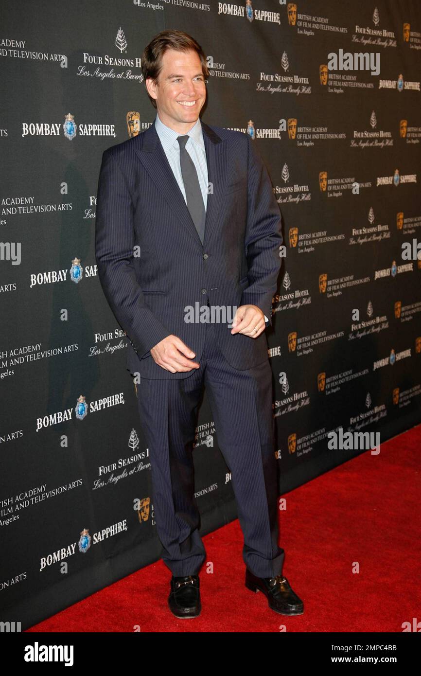 Michael Weatherly on the red carpet at the 17th Annual BAFTA Los ...