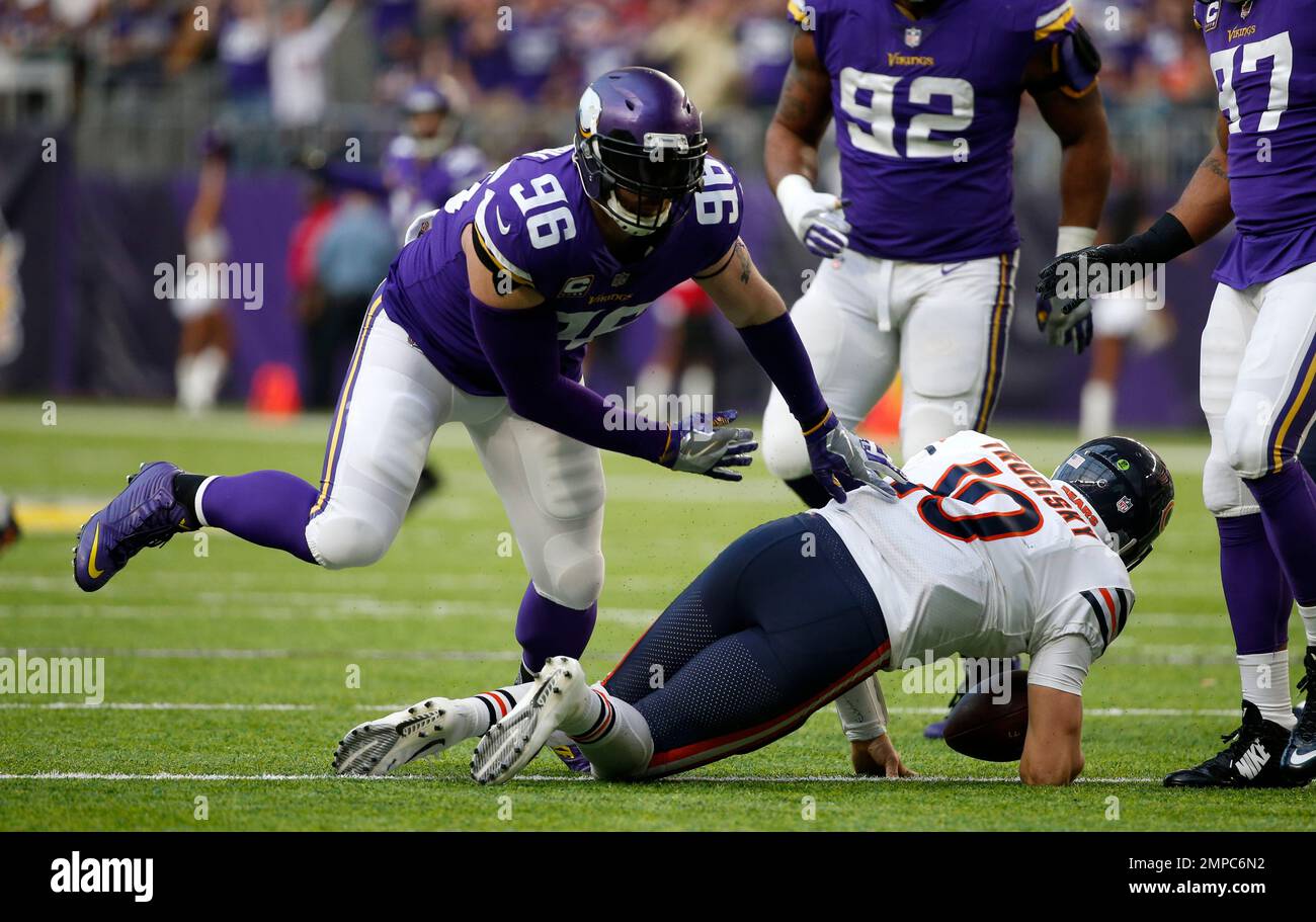 Minnesota Vikings defensive end Brian Robison (96) sacks Chicago Bears ... Minnesota Vikings defensive end Brian Robison (96) sacks Chicago Bears ...