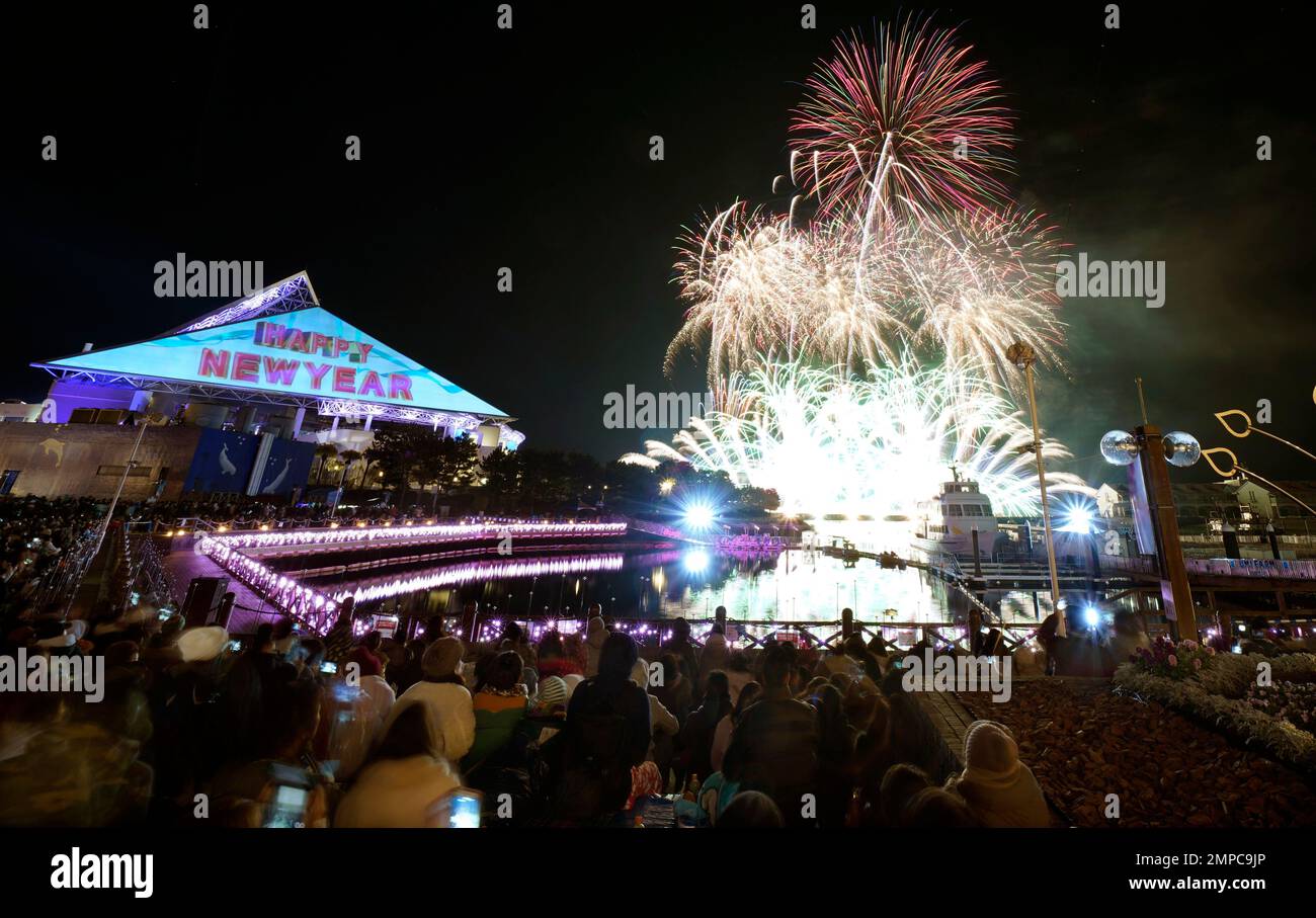 Visitors watch the fireworks display during a New Year celebration ...