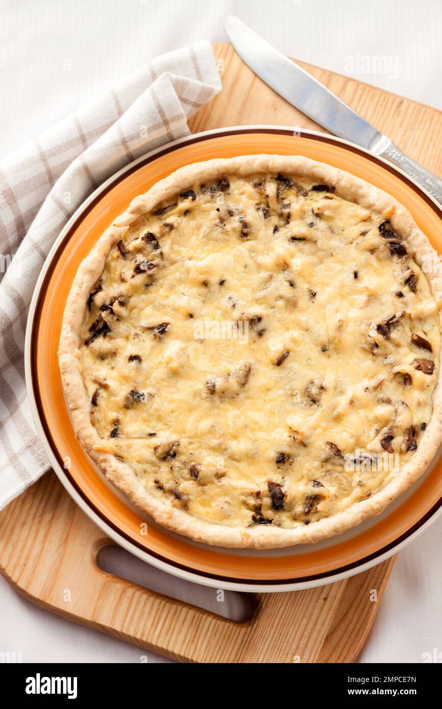Chicken tart with mushrooms and cheese on a plate. Flat lay, top view ...